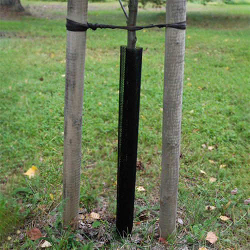 Runkosuoja verkko 6x90cm 4kpl musta Puun rungon suojaverkko ...