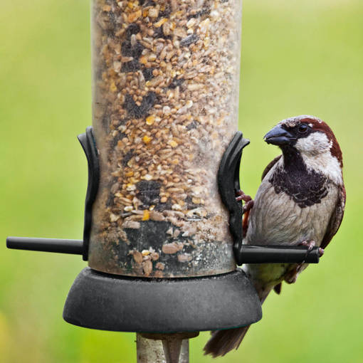 Lintulaudat, linnunpöntöt ja hyönteishotellit | Tuontitukku